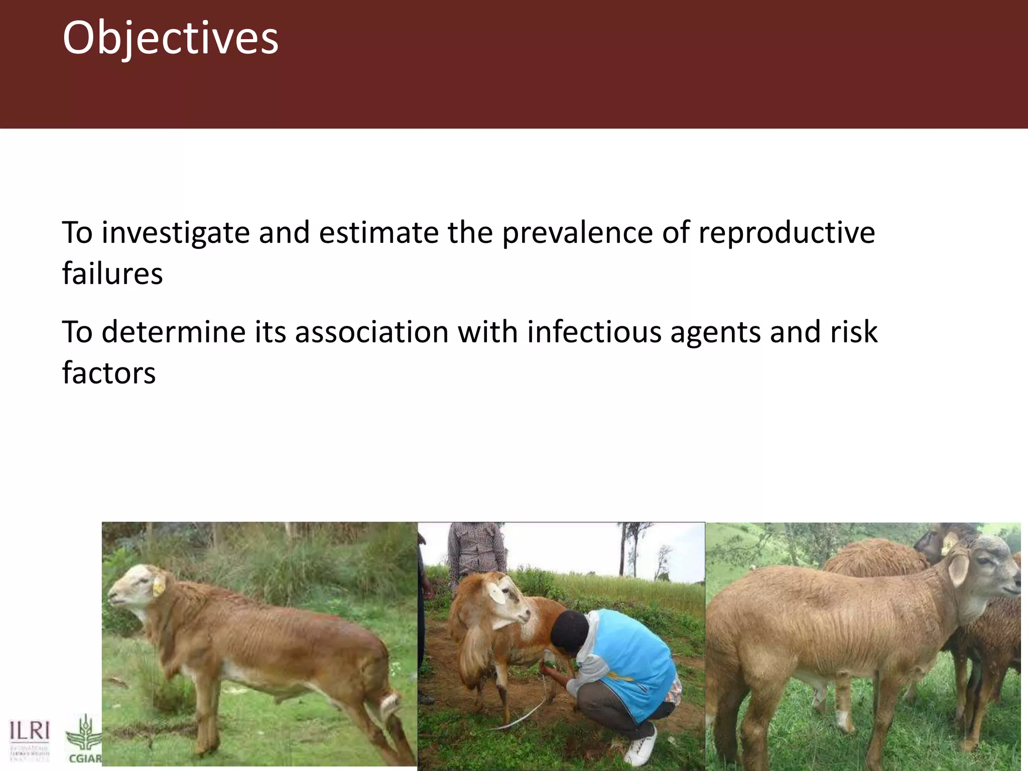 Risk factors for reproductive disorders and major infectious causes of ...