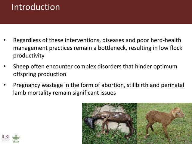 Risk factors for reproductive disorders and major infectious causes of ...