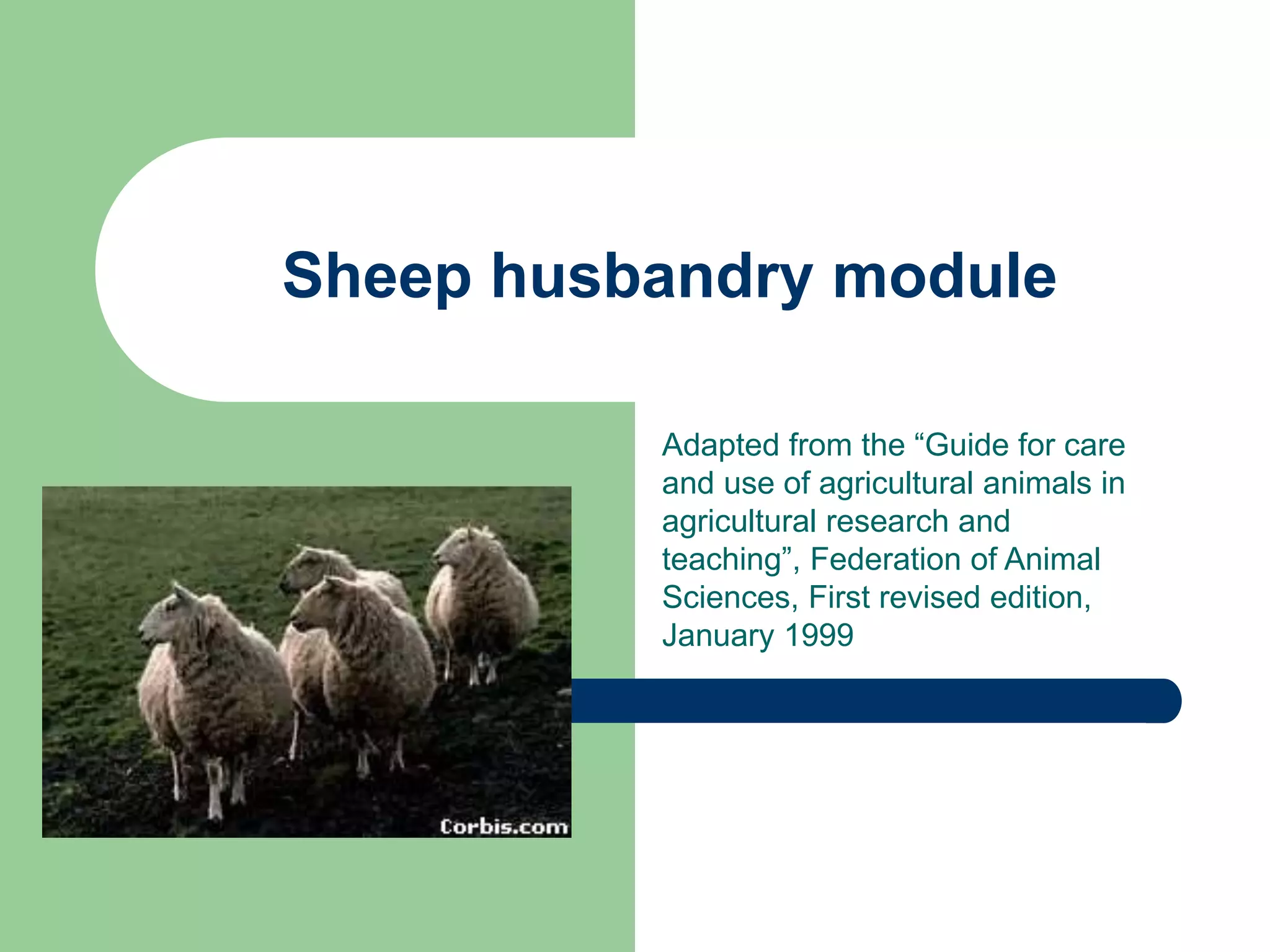 sheepmodulereadytoload.ppt