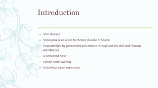 Sheep pox | PPTX