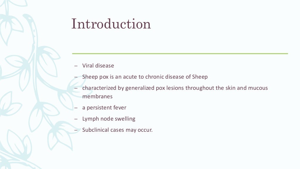 Sheep Pox