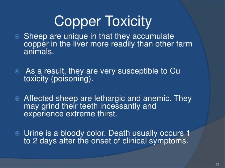 Copper Toxicity Symptoms