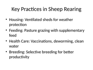 Sheep_Rearing_Presentation for rearing of sheep | PPT