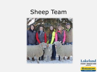Sheep Team Final Presentation 2017 | PPTX