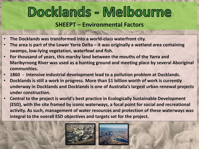 S.H.E.E.P.T. Factors (Analysis) | PPTX