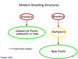 Genetic basis and improvement of reproductive traits | PPTX | Pregnancy ...