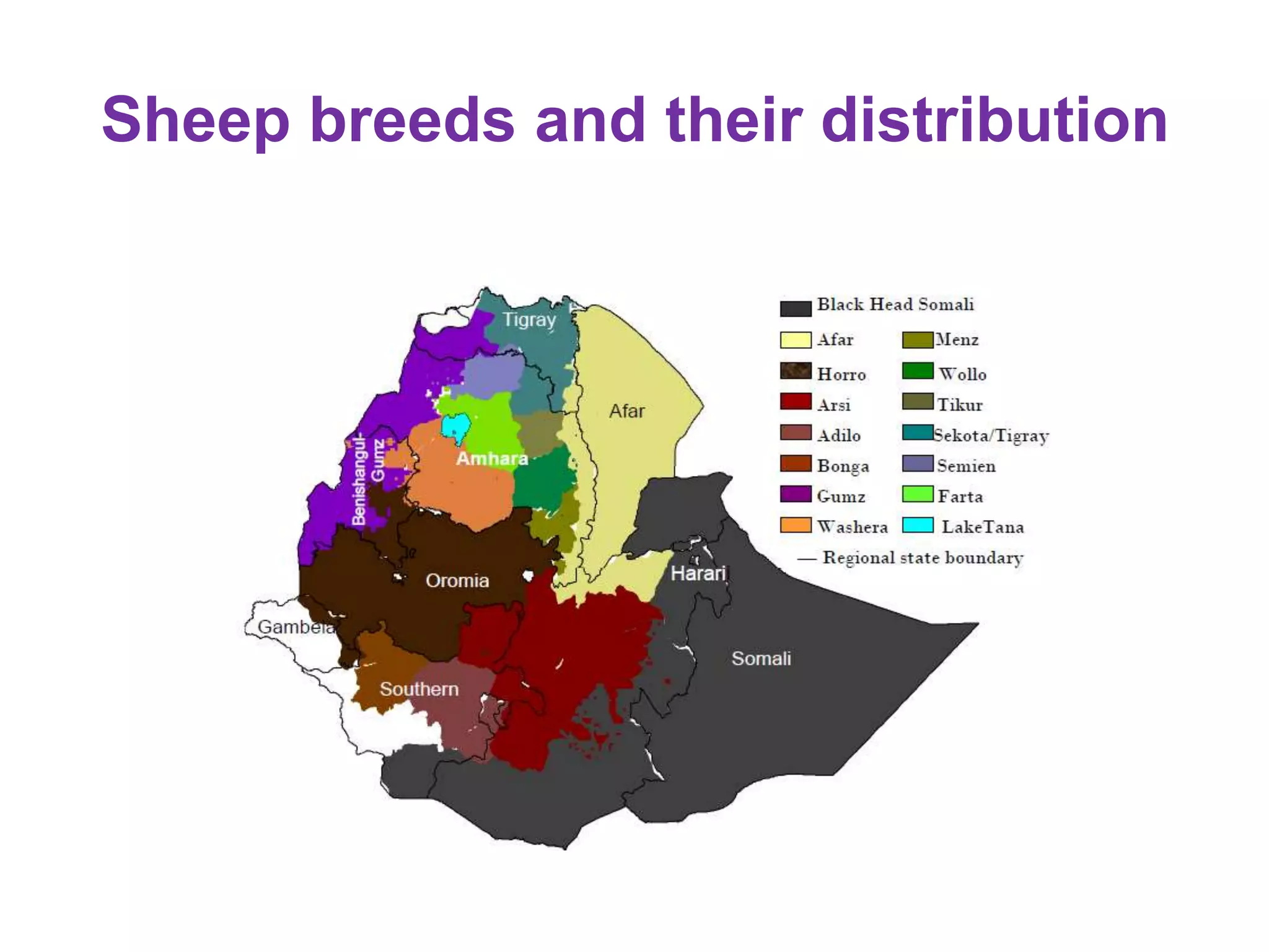 Seasonality of reproduction in sheep | PPTX | Infertility ...