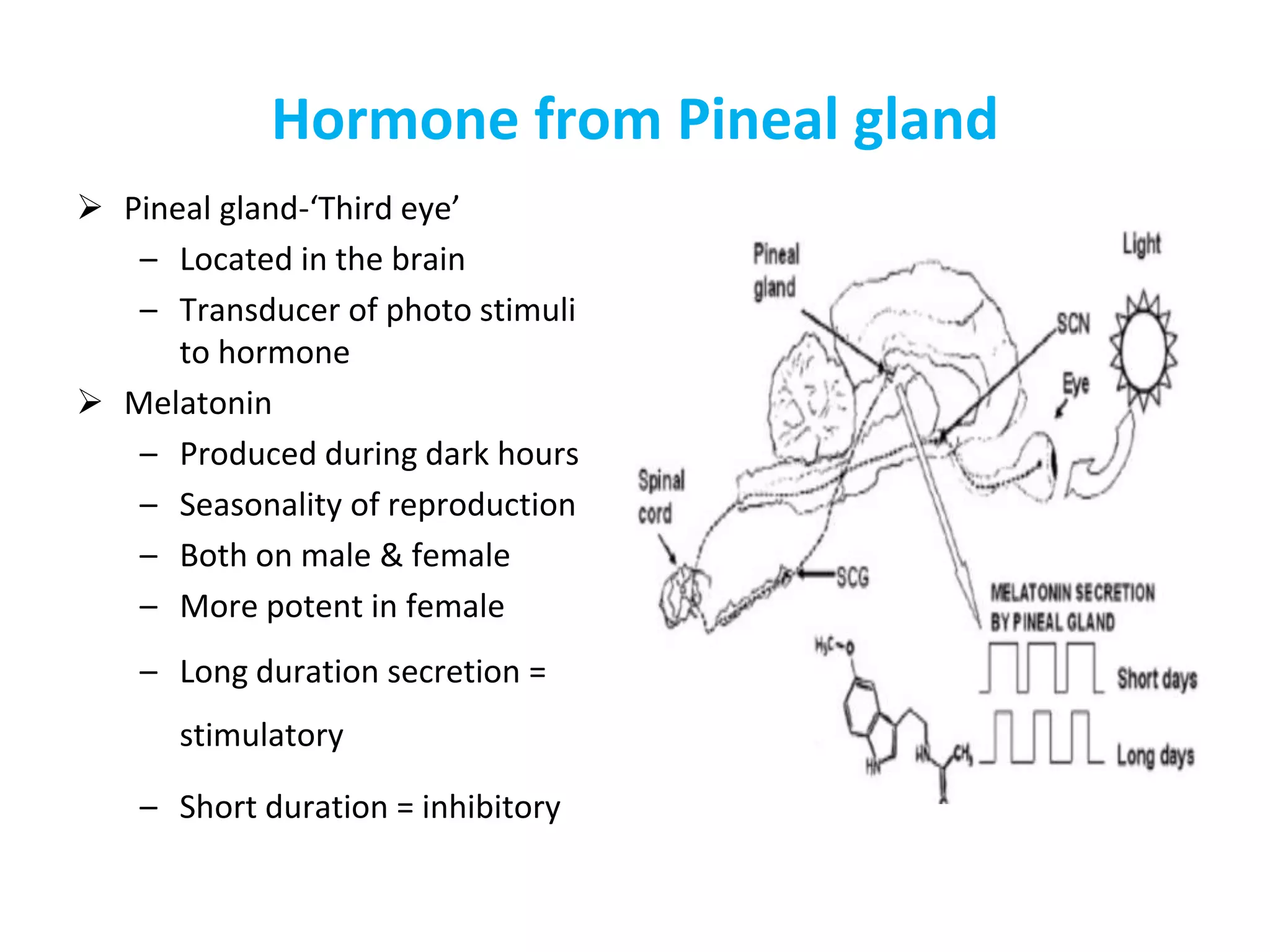 Neuro-endocrine control of reproduction in sheep | PPTX | Infertility ...