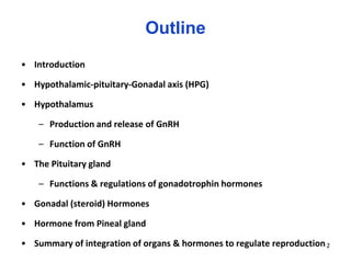Neuro-endocrine control of reproduction in sheep | PPTX | Infertility ...