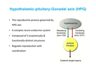 Neuro-endocrine control of reproduction in sheep | PPTX