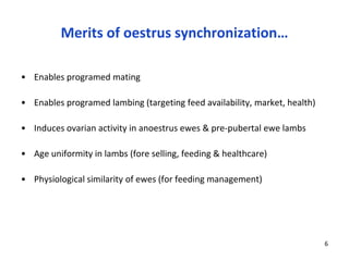 Conventional method of oestrus synchronization in sheep | PPTX