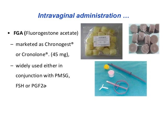 Conventional method of oestrus synchronization in sheep