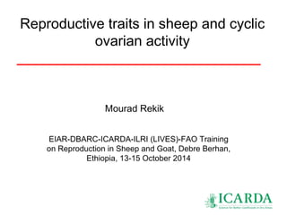 Reproductive traits in sheep and cyclic ovarian activity | PPT