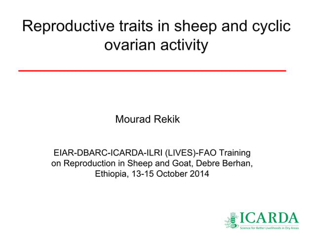 Reproductive traits in sheep and cyclic ovarian activity | PPT ...
