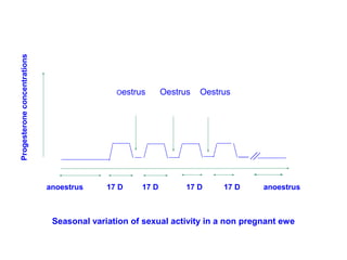 Reproductive traits in sheep and cyclic ovarian activity | PPT