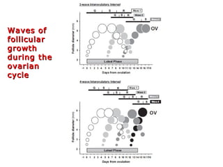 Reproductive traits in sheep and cyclic ovarian activity | PPT