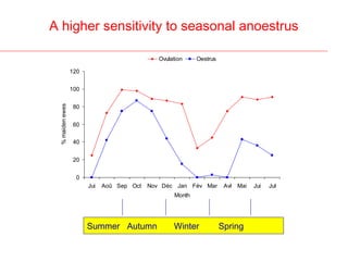 Reproductive traits in sheep and cyclic ovarian activity | PPT