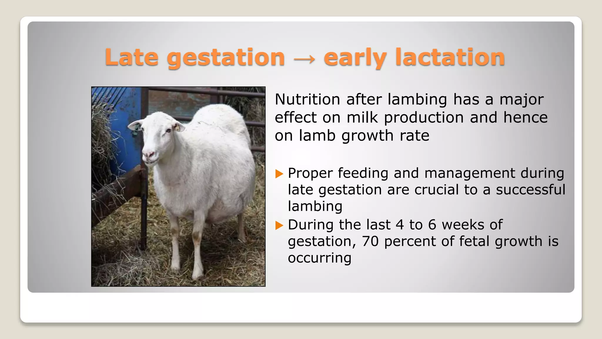 Sheep nutrition for reproduction—Part I: Nutrition as a major ...