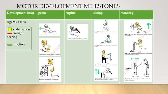 Developmental Milestones | PPTX | Parenting Babies and Toddlers | Parenting