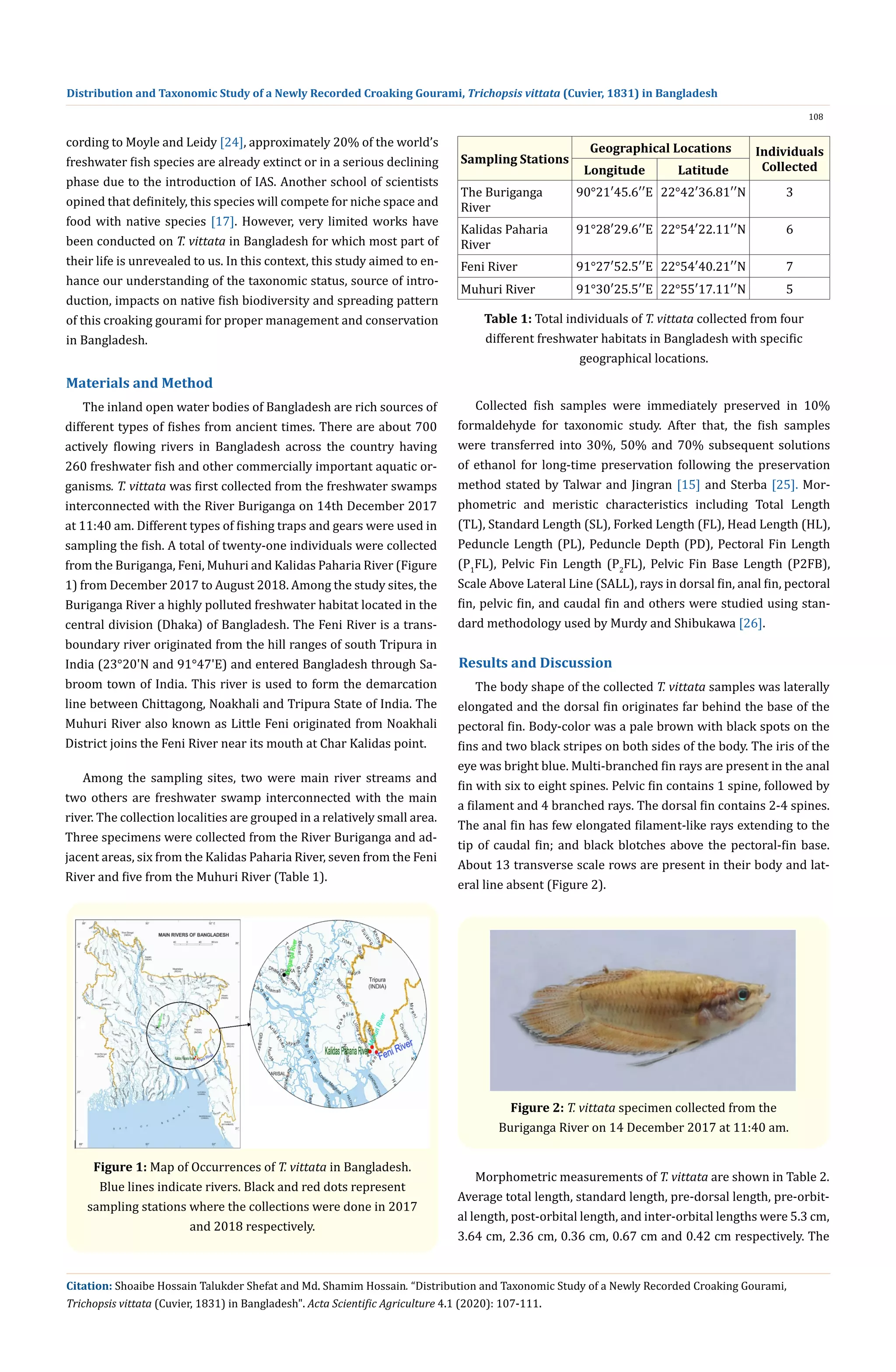 Distribution and Taxonomic Study of a Newly Recorded Croaking Gourami ...