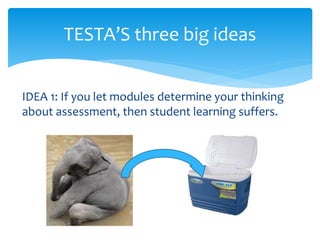 How to fit an elephant into a cool box: Programme Assessment re-visited ...