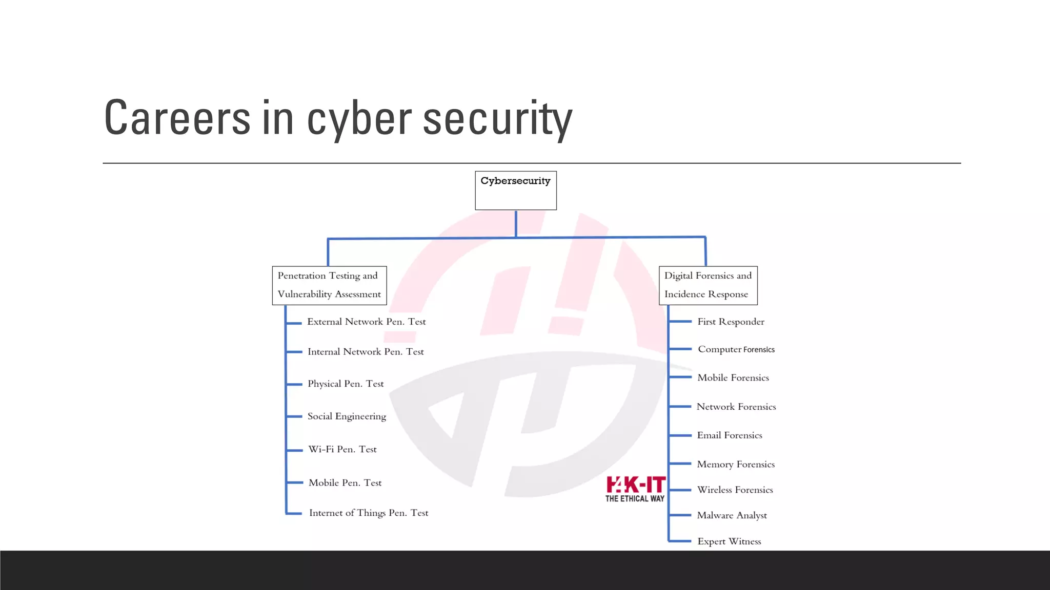 Careers in cybersecurity | 2021 | PDF