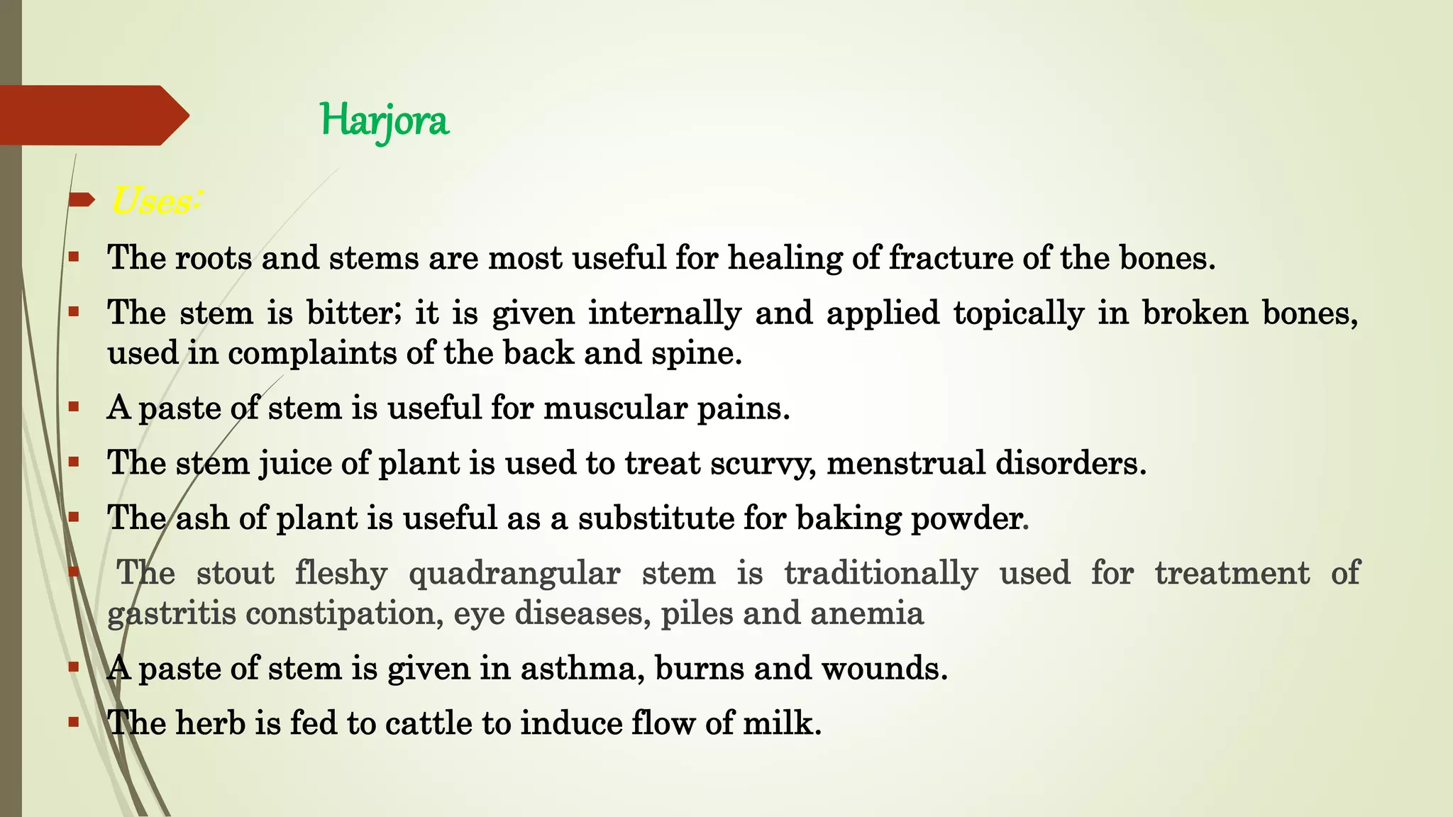 A presentation on medicinal plants | PPTX