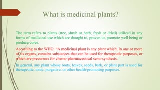 A presentation on medicinal plants | PPTX