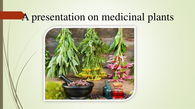 A presentation on medicinal plants