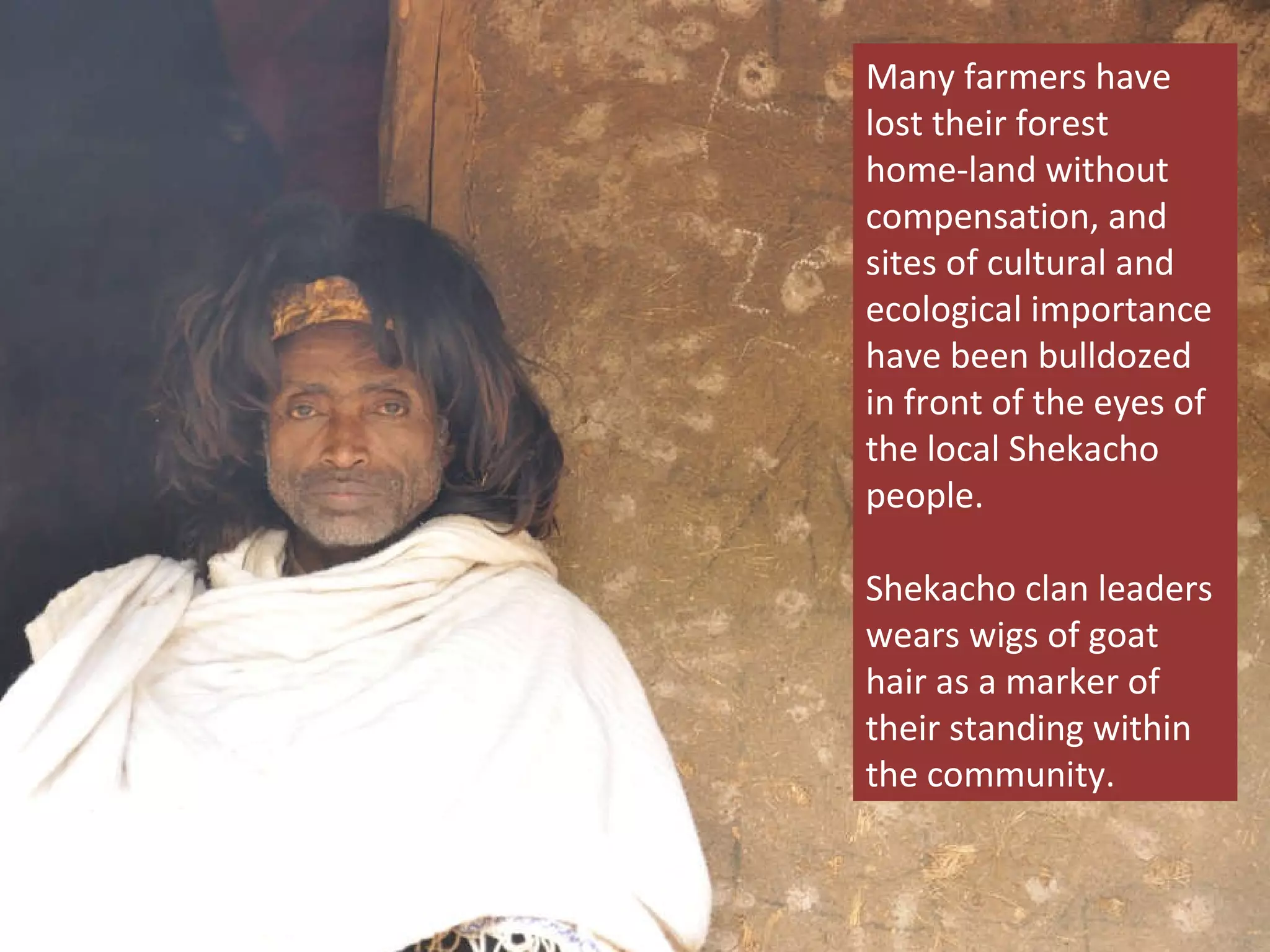 Protecting the Sheka Forest | PPT