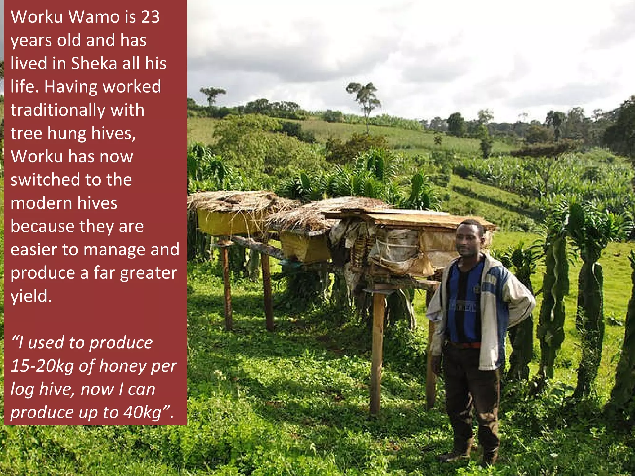 Protecting the Sheka Forest | PPT