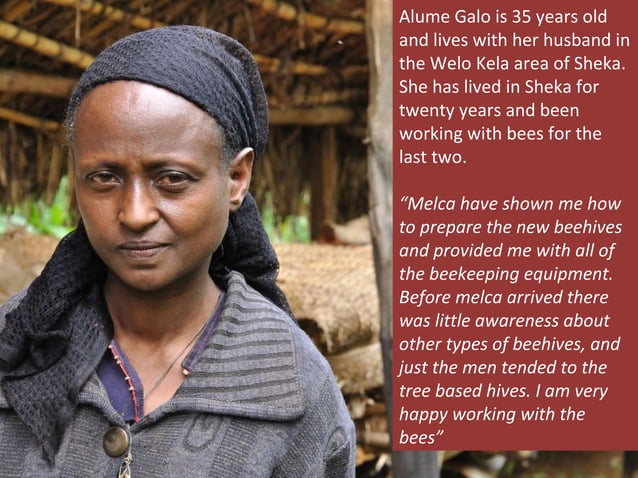 Protecting the Sheka Forest | PPT | Free Download