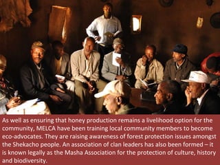 Protecting the Sheka Forest | PPT