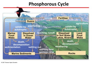 Biogeochemical cycle and impact of anthropogenic activity by shashi ...