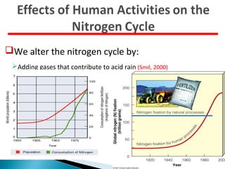 Biogeochemical cycle and impact of anthropogenic activity by shashi ...