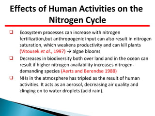Biogeochemical cycle and impact of anthropogenic activity by shashi ...