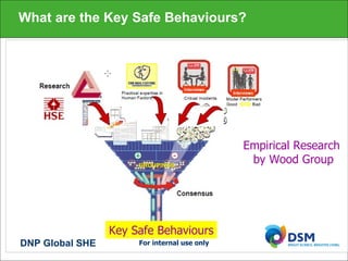 Shelco she culture and behavior in dnp sept 2011 | PPT