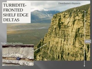 importance of shelf edge delta for hydrocarbon exploration | PDF