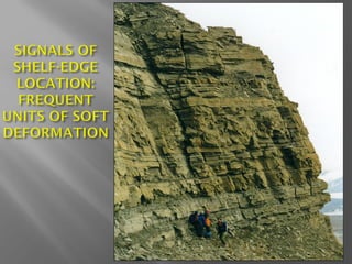 importance of shelf edge delta for hydrocarbon exploration | PDF