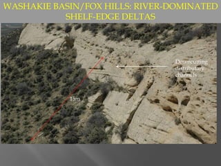 importance of shelf edge delta for hydrocarbon exploration | PDF