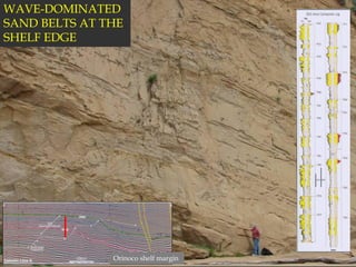 importance of shelf edge delta for hydrocarbon exploration | PDF