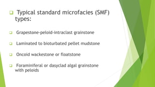 Shelf enviroment; By Salah ud din Shabab | PPTX | Geography | Science