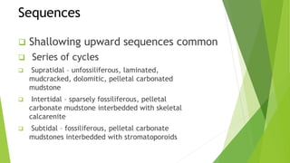Shelf enviroment; By Salah ud din Shabab | PPTX | Geography | Science