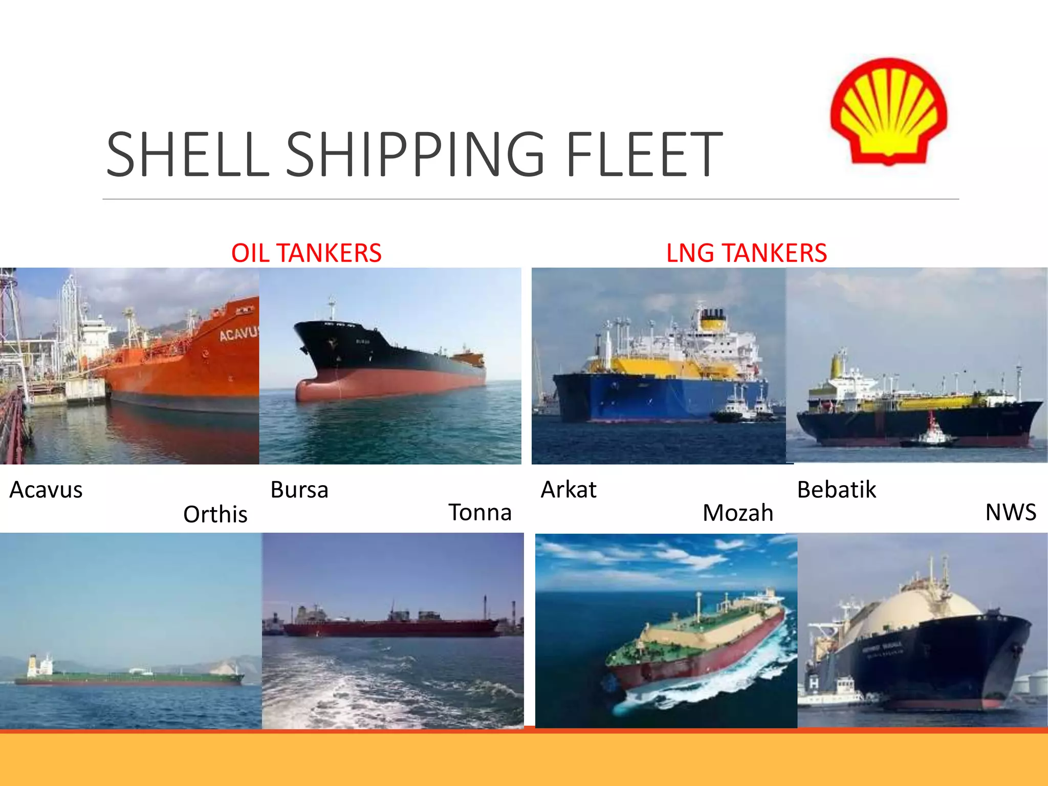 Shell company | PPTX