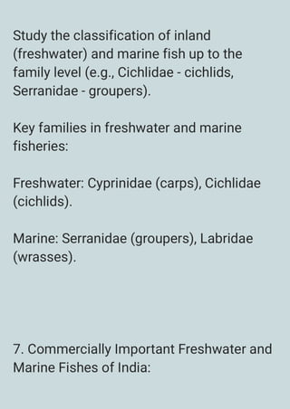 Shell fish presentation on it so that you cam | PDF