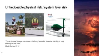 ClientEarth Claim towards Board of Shell plc | PDF