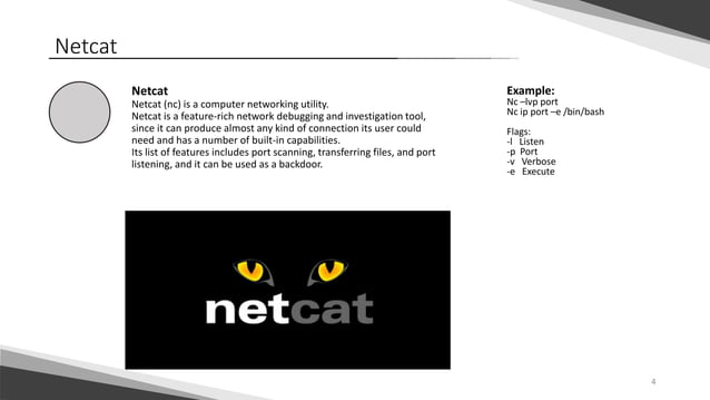 Reverse Shell Ppt