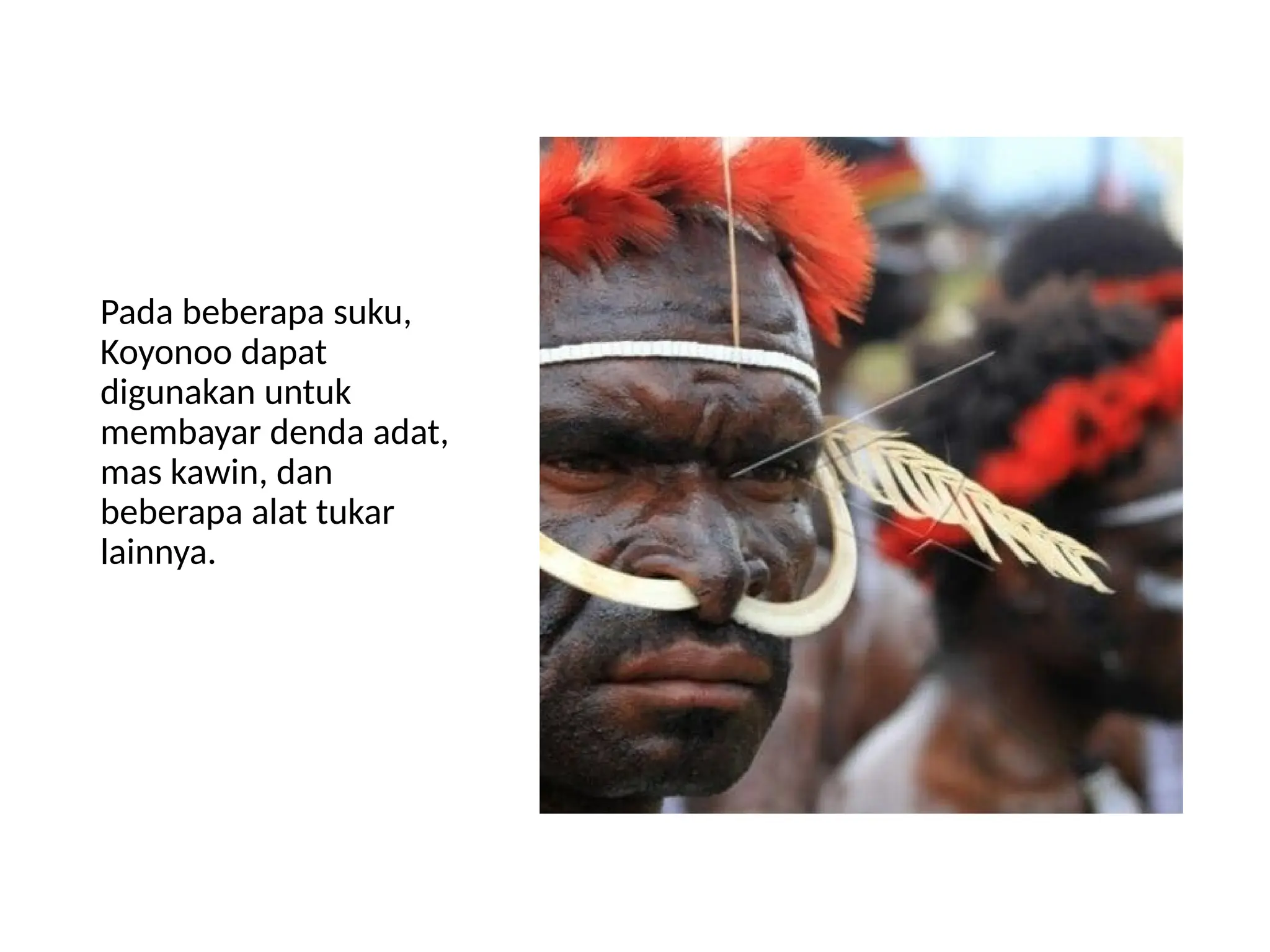 Keaneka ragaman papua indonesia dan kekayaaan | PPT
