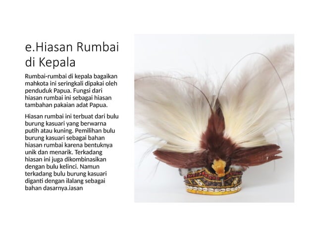 Keaneka ragaman papua indonesia dan kekayaaan | PPT