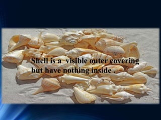 Shell companies | PPTX